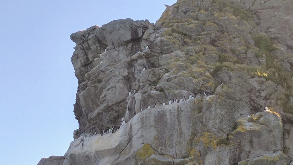 Letterboxing in Lundy — how not to get bored on a tiny island — Duncan ...