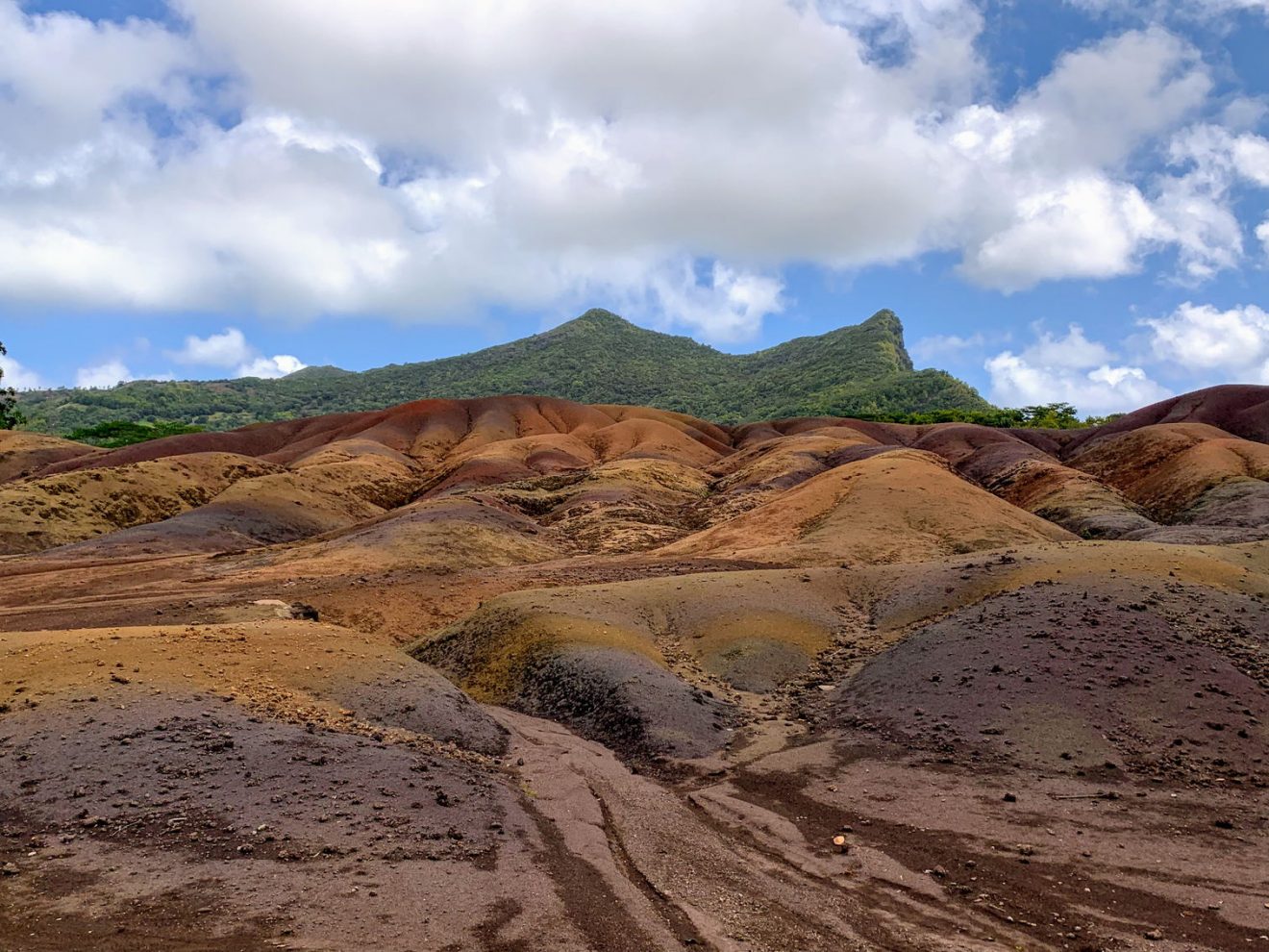 Our honeymoon in Mauritius (part 2) — Duncan Stephen